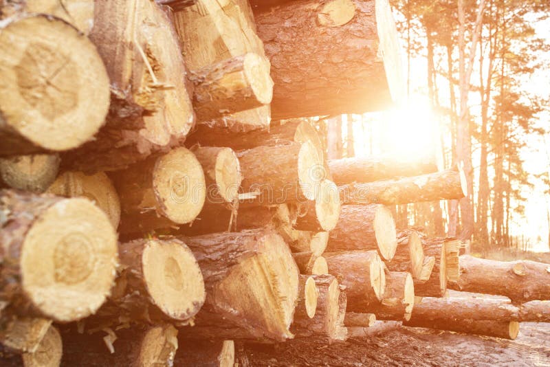 Stack Timber Against Sun Stock Photos - Free & Royalty-Free Stock ...