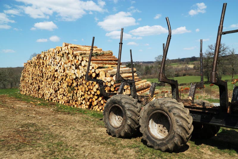 Logging or Timber Industry Resources Stock Image - Image of transport ...