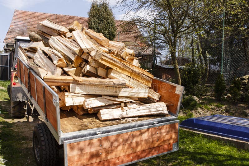 Wood logging stock photo. Image of brown, environment - 33181850