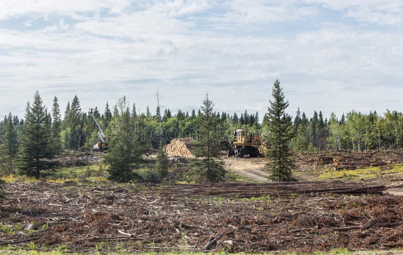 Logging stock photo. Image of lumber, machinery, trees - 45323784