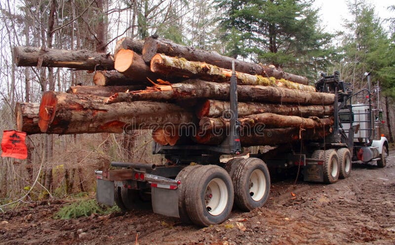 Logging Truck Loaded stock photo. Image of trees, lumber - 6293842