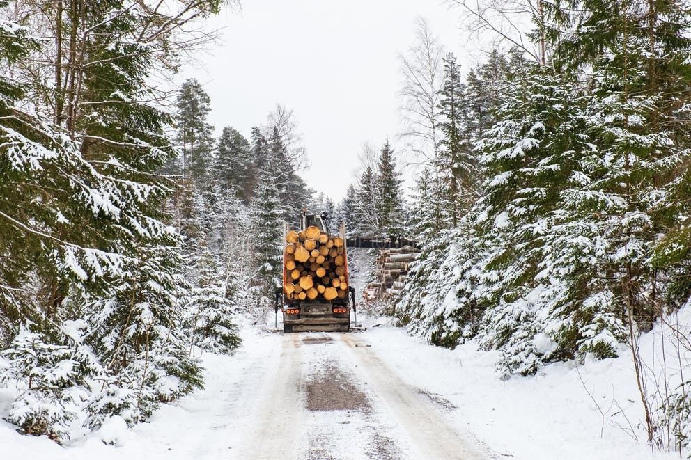 Logging Truck Loads Timber in a Winter Forest Stock Image - Image of ...