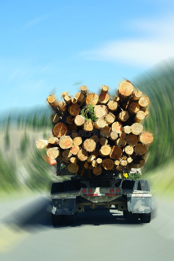 Logging Truck Delivering Timber To Sawmill, Stock Image - Image of ...