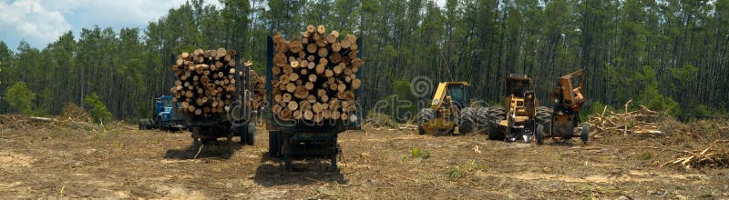 Logging Trucks and Machinery Stock Image - Image of agriculture ...