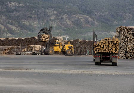 Logging Trucks unloading stock image. Image of logs, industrial - 21225743