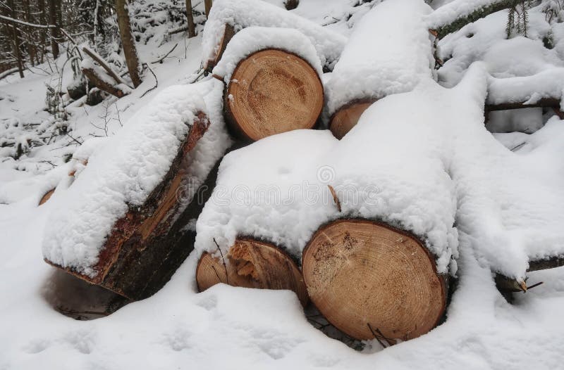 Logging in Winter, Logs Under the Snow Stock Image - Image of snow ...