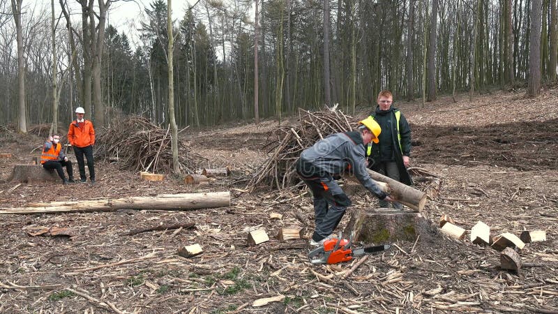 A Logging Worker Places a Log for Processing. the Manager Says the Work ...