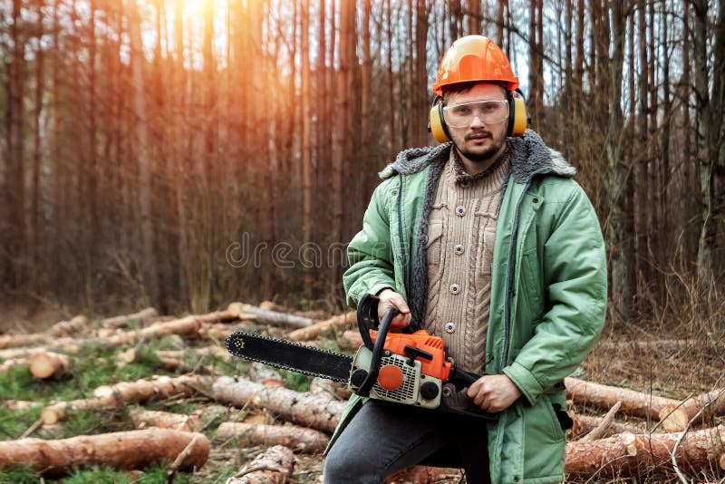 Logging, Worker in a Protective Suit with a Chainsaw. Cutting Down ...