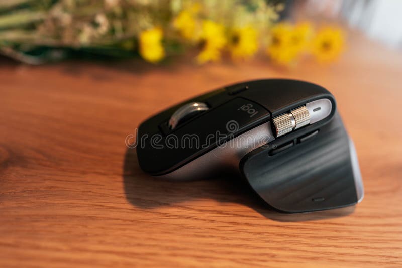 Logitech MX Master Mouse, Professional Computer Mouse for Editing ...