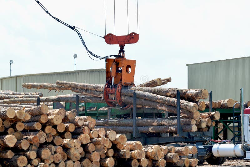 Loglift Crane Offloading Log Truck Stock Photo - Image of mill, logs ...