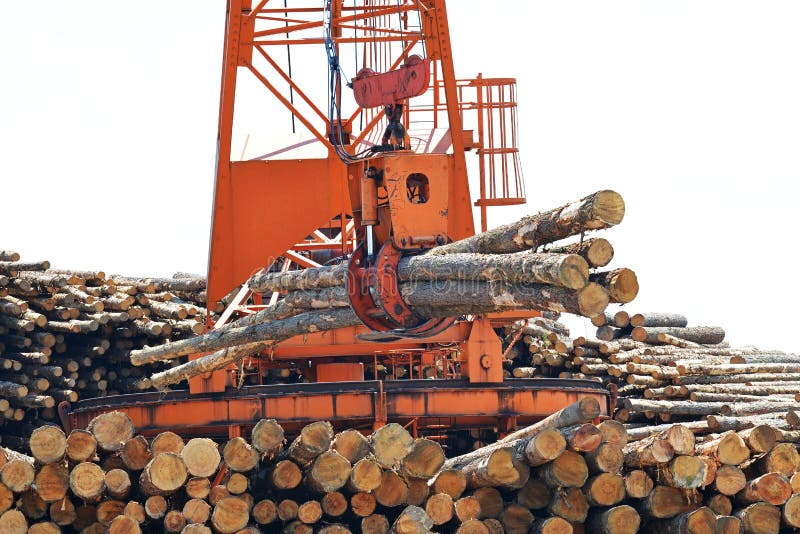 Loglift Crane Transferring Logs To Log Stack Stock Image - Image of ...