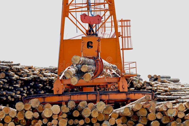 Loglift Crane Transferring Logs To Log Stack Stock Photo - Image of ...