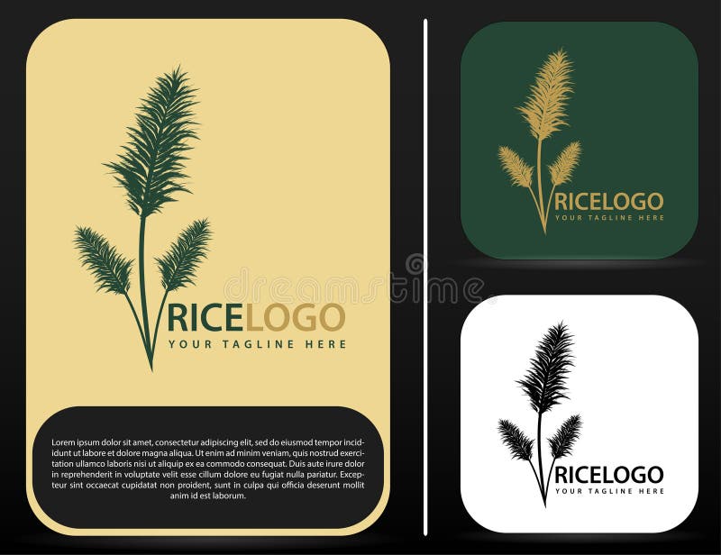Paddy Rice Premium Organic Symbol. Natural Product for Banner, Card ...