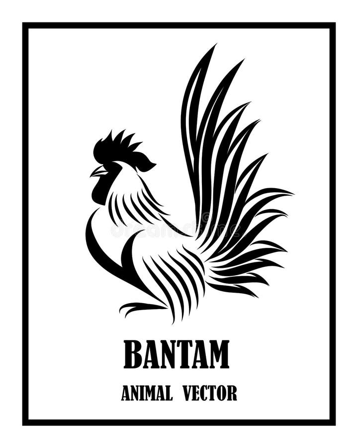 Logo of a Bantam. it is Standing Eps 10 Stock Vector - Illustration of ...