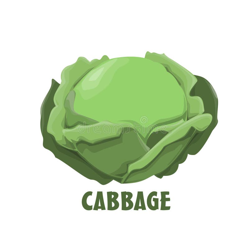 Logo Cabbage-Bauernhofdesign Stock Abbildung - Illustration von frisch ...