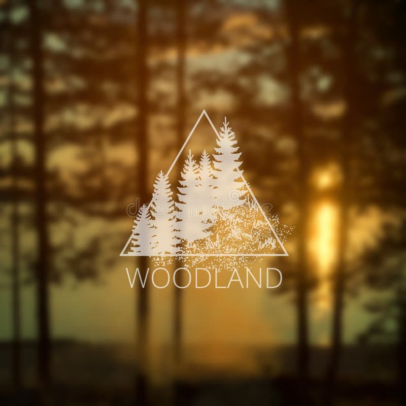 Logo Con Gli Alberi Forestali Illustrazione di Stock - Illustrazione di ...