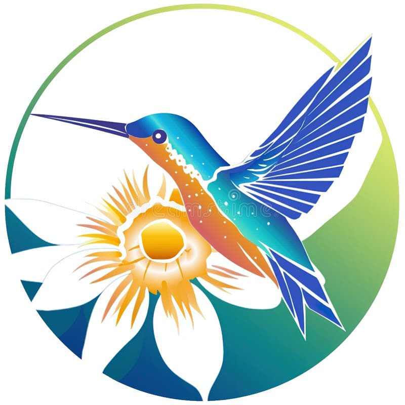 Hummingbird Playful Stock Illustrations – 122 Hummingbird Playful Stock ...