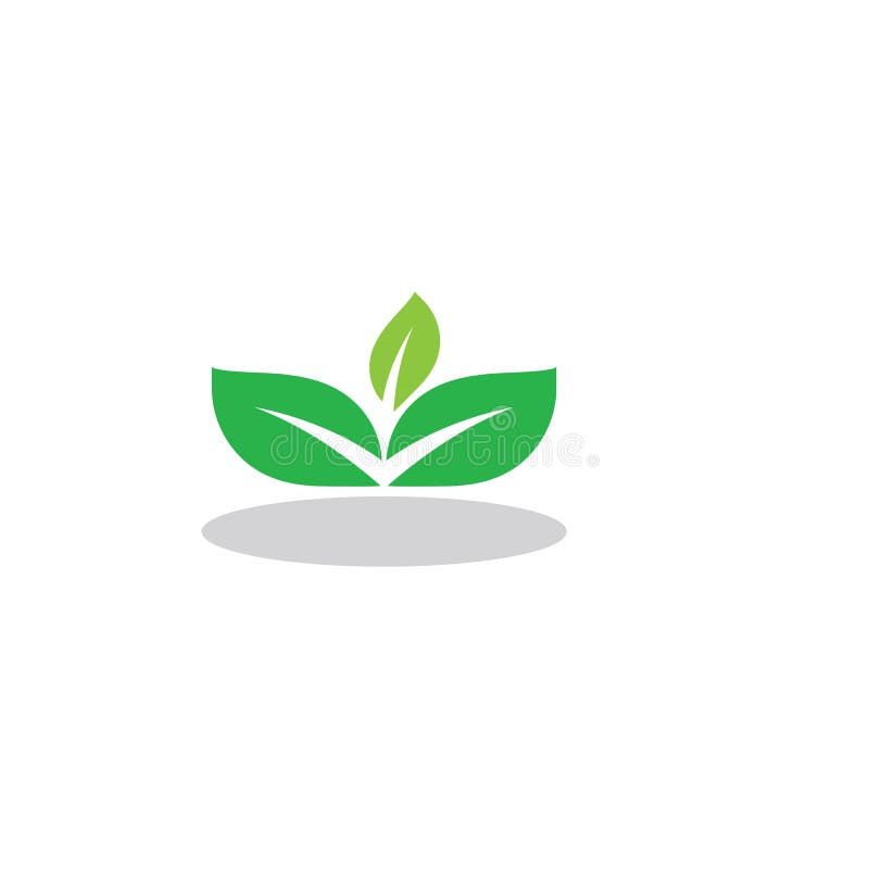 Logo de la hoja verde stock de ilustración. Ilustración de verano ...