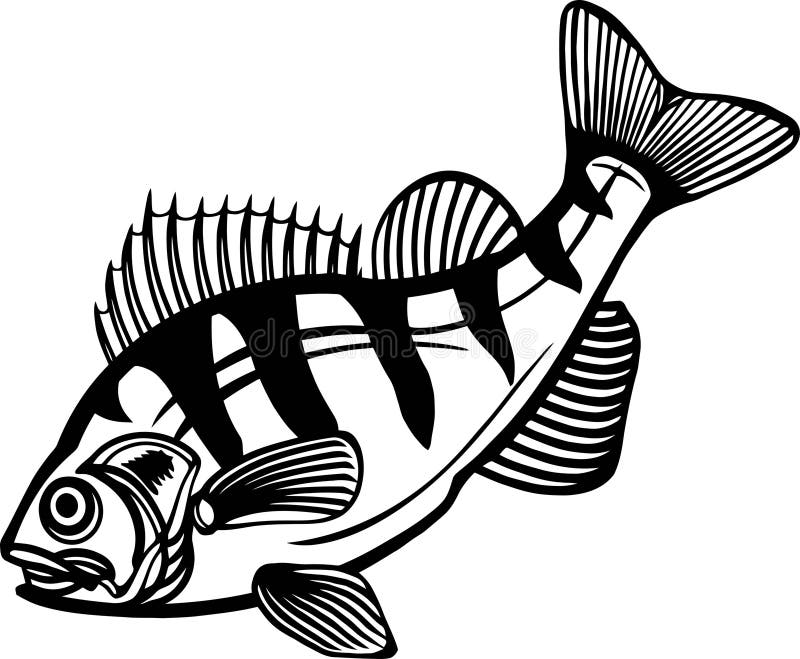 Logo De Perch American Fish Foto de archivo - Ilustración de cubo ...