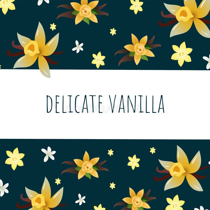 Logo de vecteur de vanille illustration de vecteur. Illustration du ...