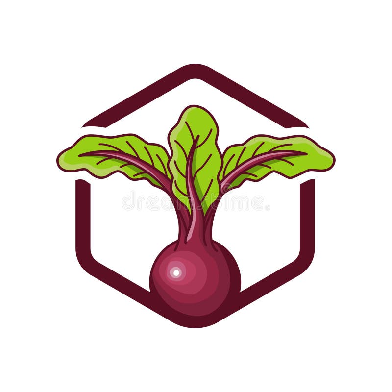 Logo design Beetroot stock vector. Illustration of green - 141879306