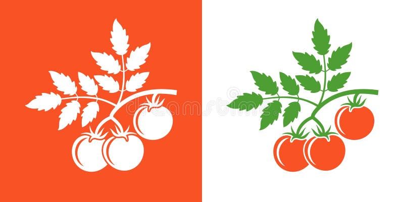 Logo Do Galho De Tomate. Galho De Tomate Isolado Em Fundo Branco ...