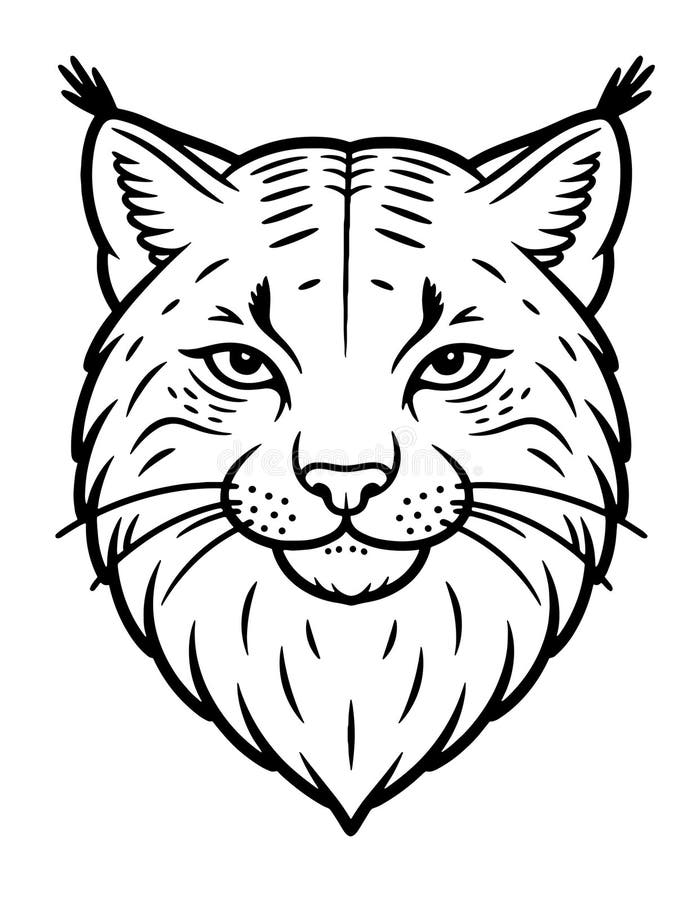Lynx Head Front Face Wildlife Animal Mascot Logo Stock Image ...