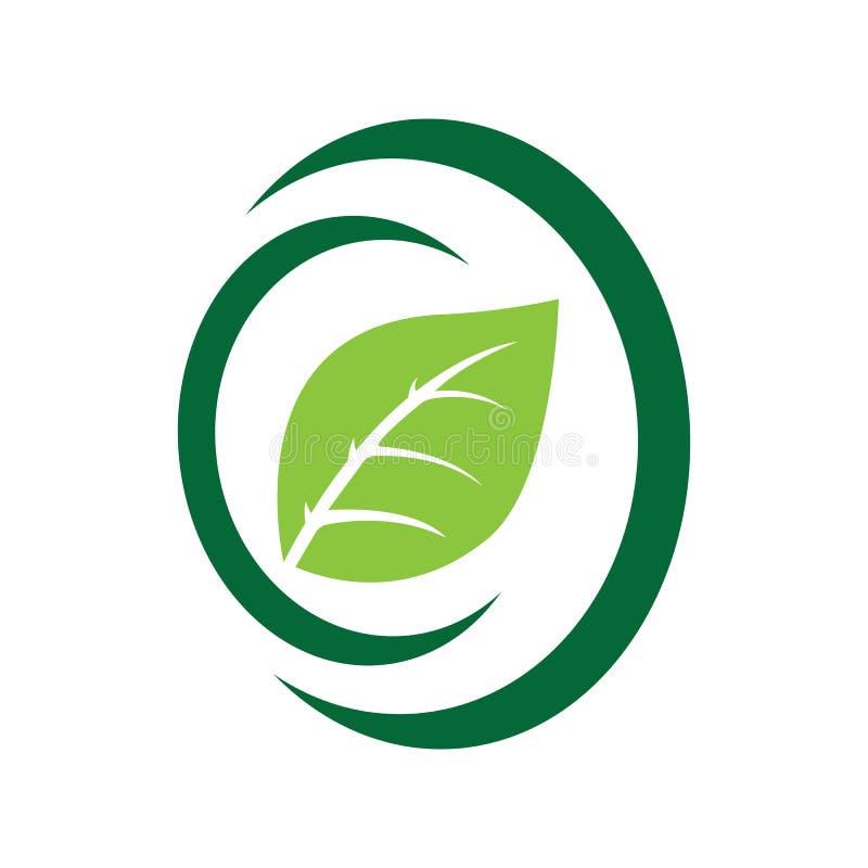 Logo Feuille Dessin Vectoriel Illustration Et Icône Illustration de Vecteur - Illustration du ...