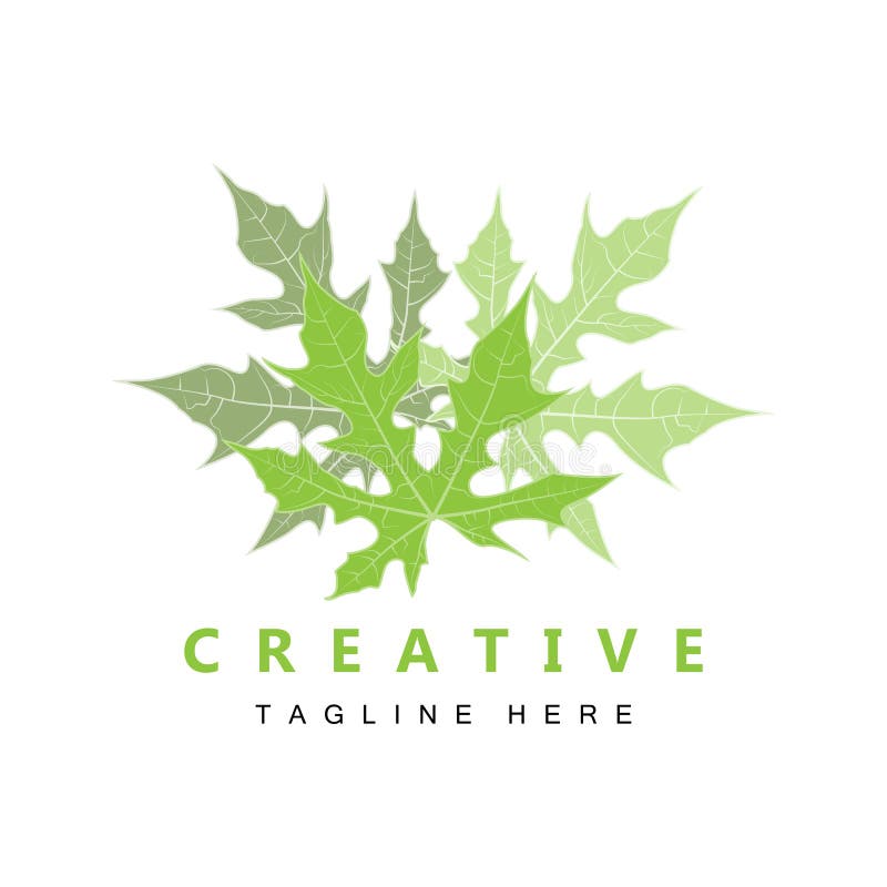 Logo Feuille Vert Vectoriel Arbre Vectoriel Marque Illustration de ...