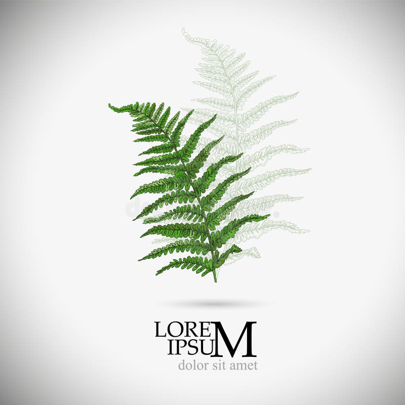 Logo Objet Fern. Illustration Vectorielle Illustration de Vecteur ...