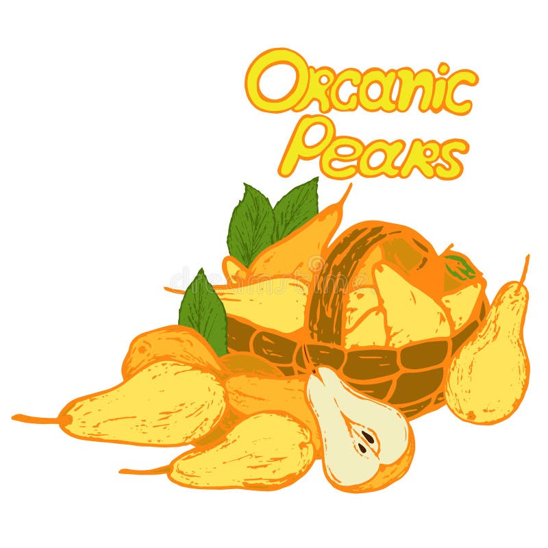 Logo organic pears stock vector. Illustration of isolated - 65120028