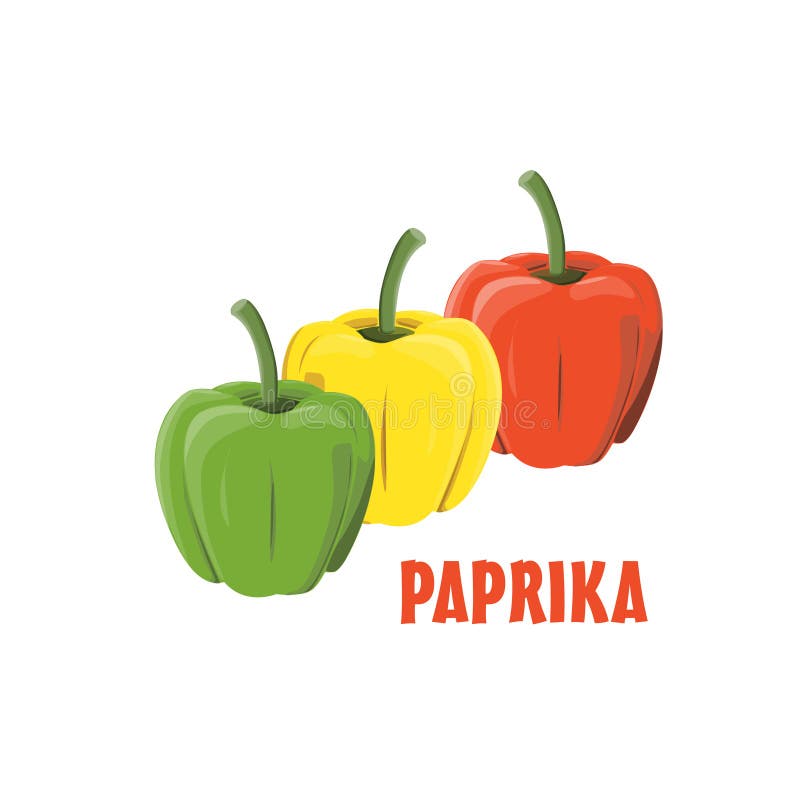 Logo Paprika Vector Farm Design Stock Vector - Illustration of fresh ...