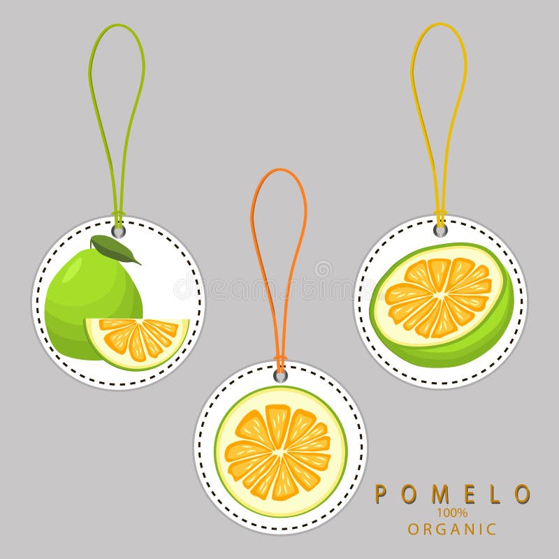 Logo pomelo stock vector. Illustration of natural, quarter - 90385885