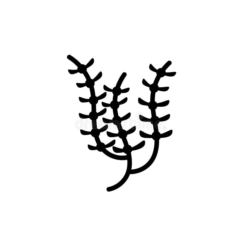 Logo Van Zeewier En Schaal- En Schelpdieren En Pictogramvector Stock ...