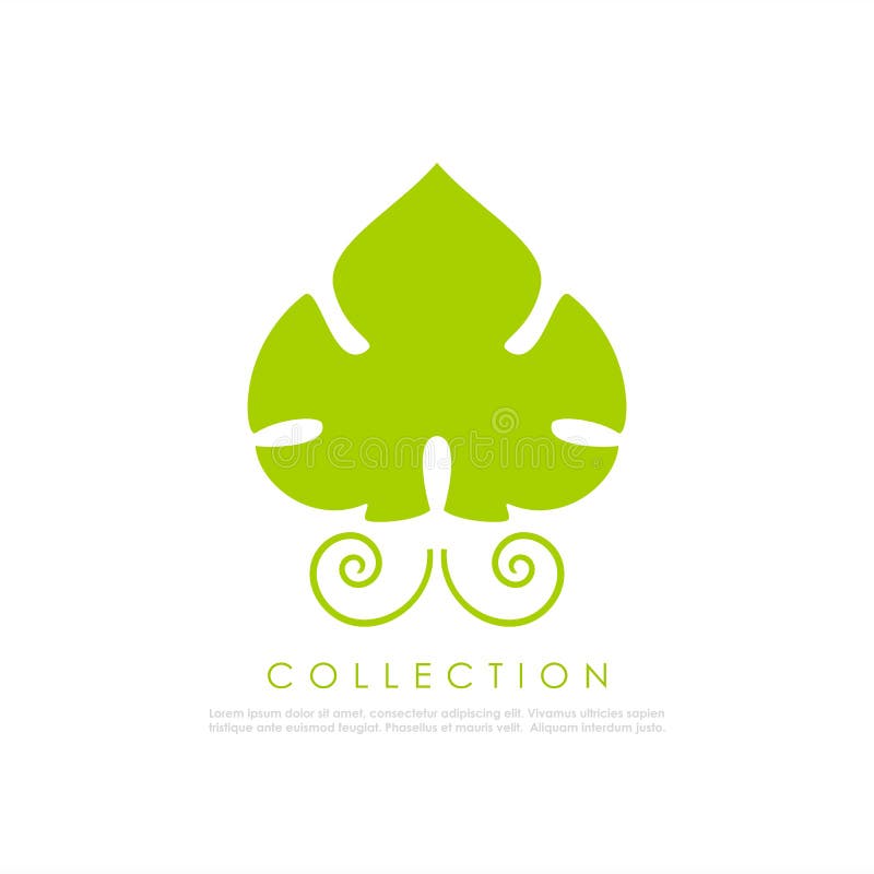 Logo Vert De Vecteur De Feuille De Vigne Illustration de Vecteur ...