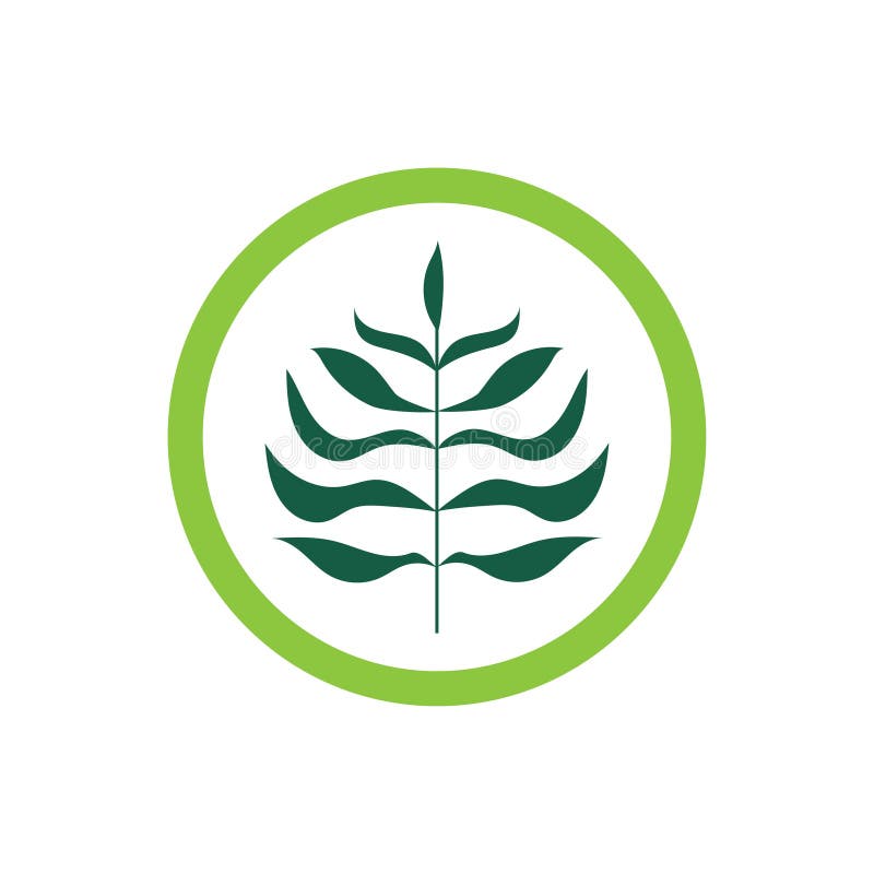 Logos Of Green Tree Leaf Ecology Nature Element Vector Stock