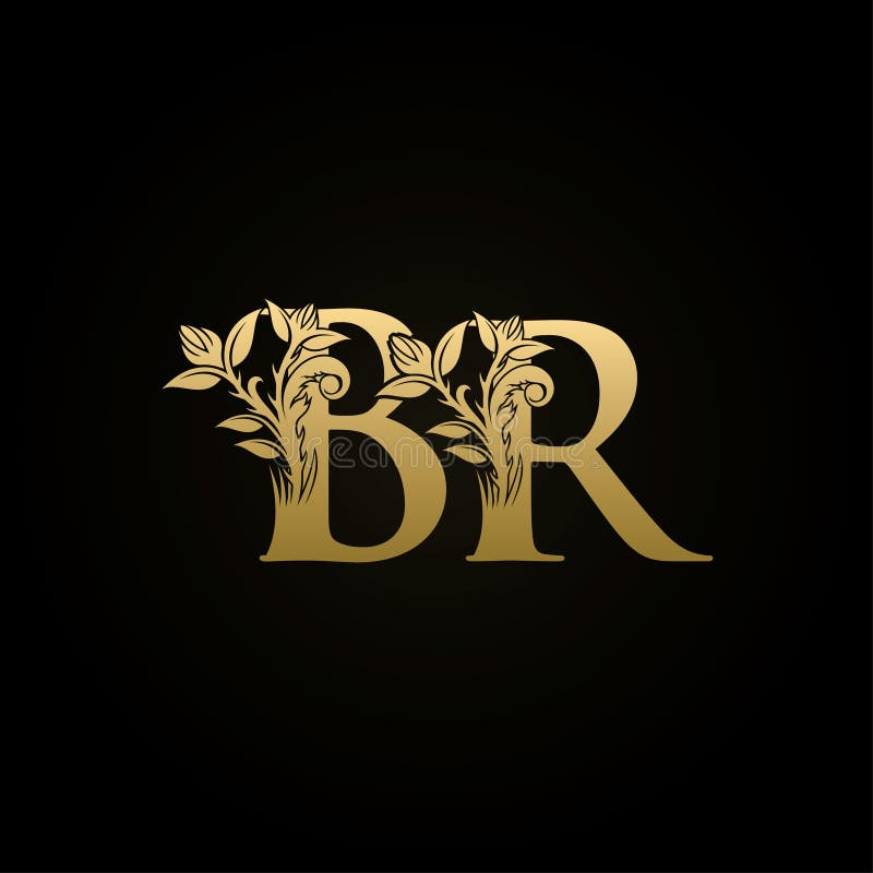 Logotipo Con Clase Del Oro De La Letra Del BR Stock de ilustración ...