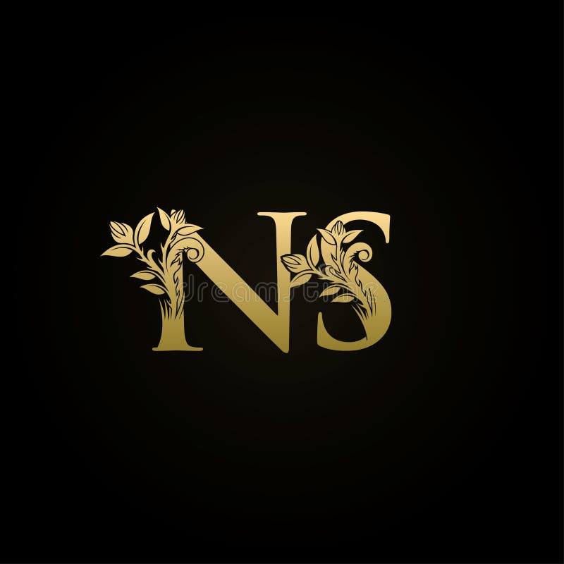 Logotipo Con Clase Del Oro De La Letra Del NS Stock de ilustración ...