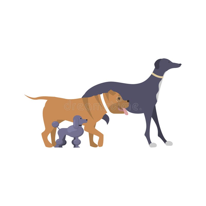 Logotipo con perros ilustración del vector. Ilustración de emblema ...