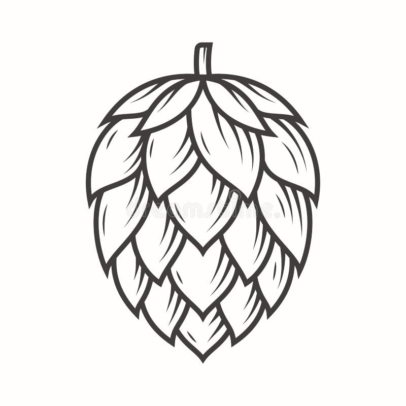 Lupulo Ilustrações, Vetores E Clipart De Stock – (3,574 Stock ...