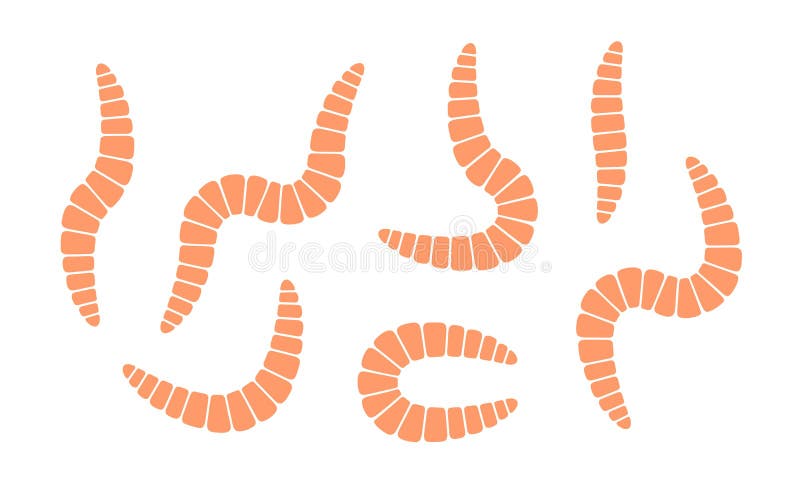 Logotipo De Gusano. Gusano Aislado Sobre Fondo Blanco Ilustración del ...
