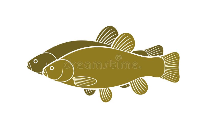 Logotipo De Tench. Tench Aislado Sobre Fondo Blanco Ilustración del ...