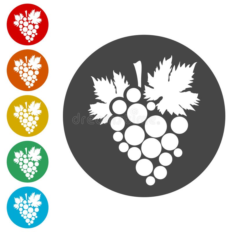 Icono de uvas, logo de uva ilustración del vector. Ilustración de ...