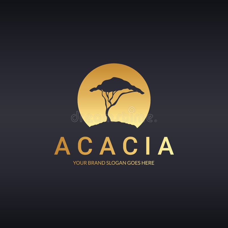 Logotipo del acacia ilustración del vector. Ilustración de estudio ...