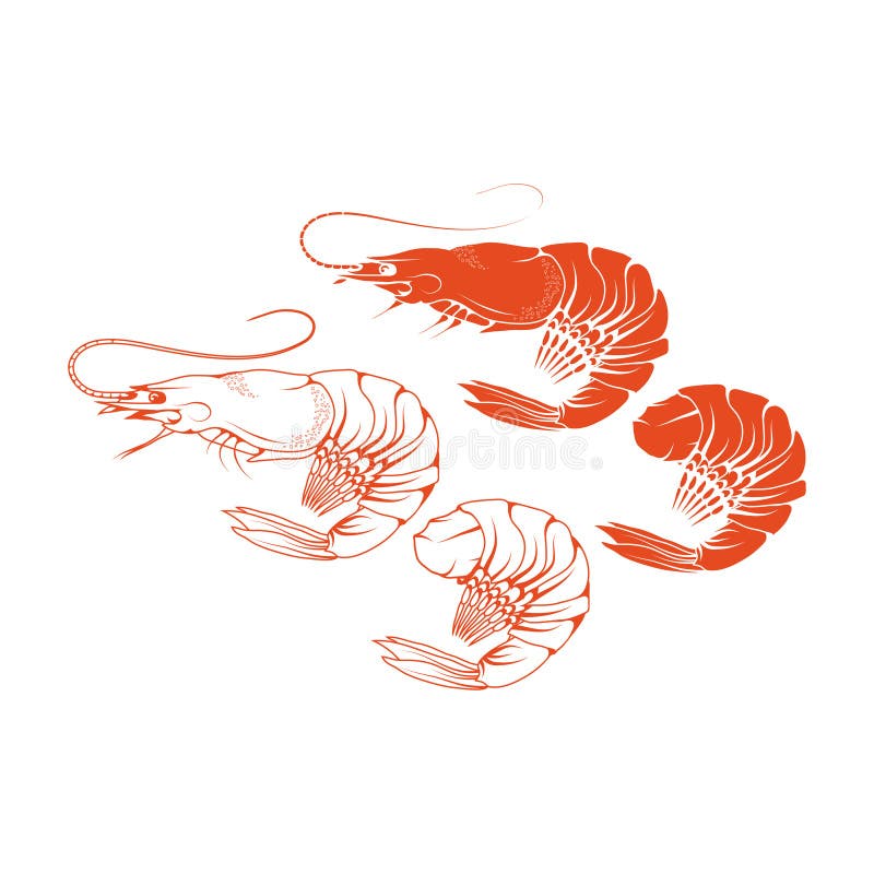 Logotipo Del Camarón Camarón Aislado En El Fondo Blanco Gambas ...