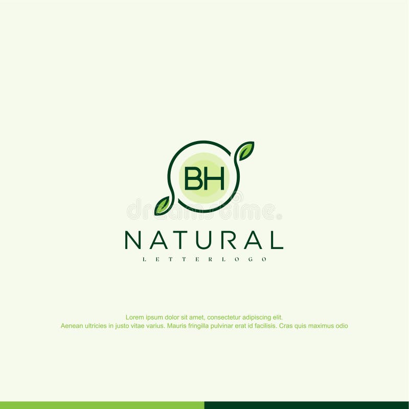 Logotipo Natural Inicial De Bh Ilustración del Vector - Ilustración de ...