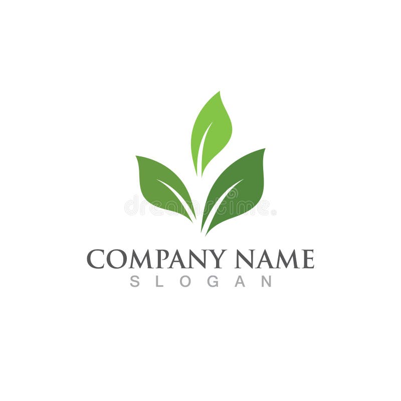 Logotipos Da Ecologia Das Folhas Verdes Ilustração do Vetor ...