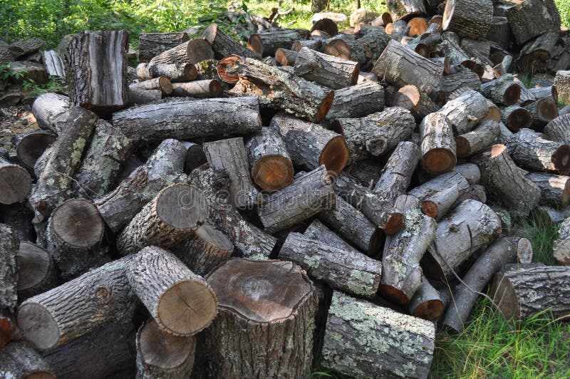 Logs stock image. Image of bole, logs, barrel, cylinder - 23081095