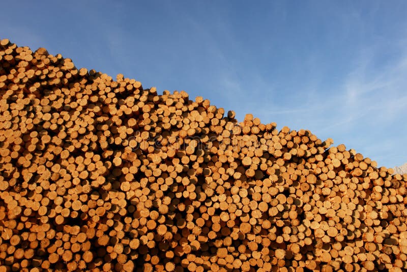 Tree Trunks Wood Logs Piled Outside Paper MIll Stock Image - Image of ...