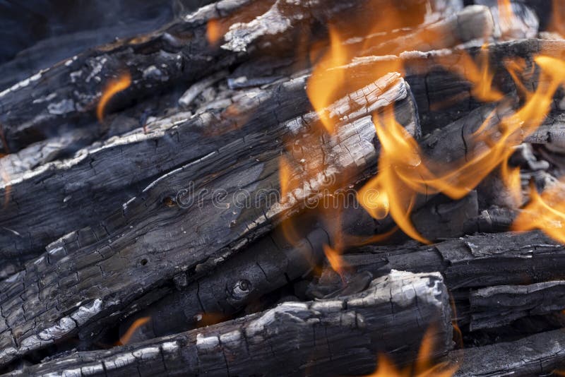 Logs of Apple Tree Wood Burning Down in the Fire Stock Photo - Image of ...